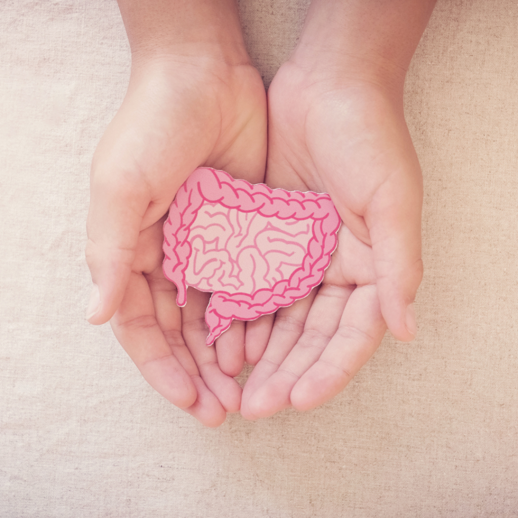 LEKKENDE DARM SYNDROOM HERSTELLEN: VOOR MEER ENERGIE EN VITALITEIT ...